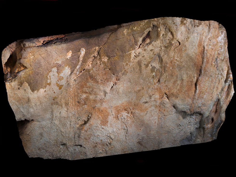 Cuevas